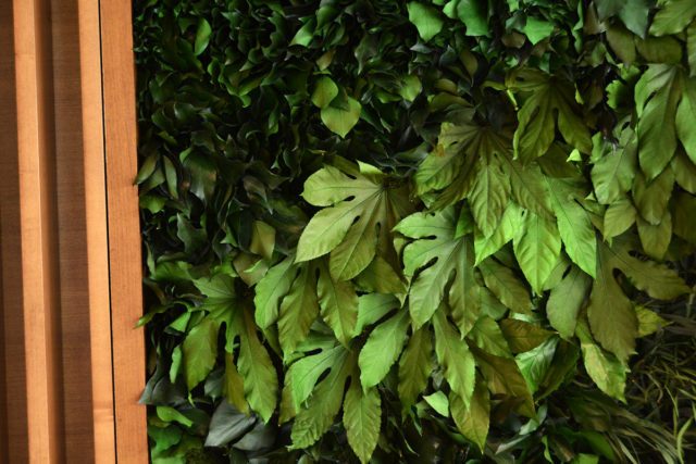 First Look: Inside the New Edyth Bush Building · the32789