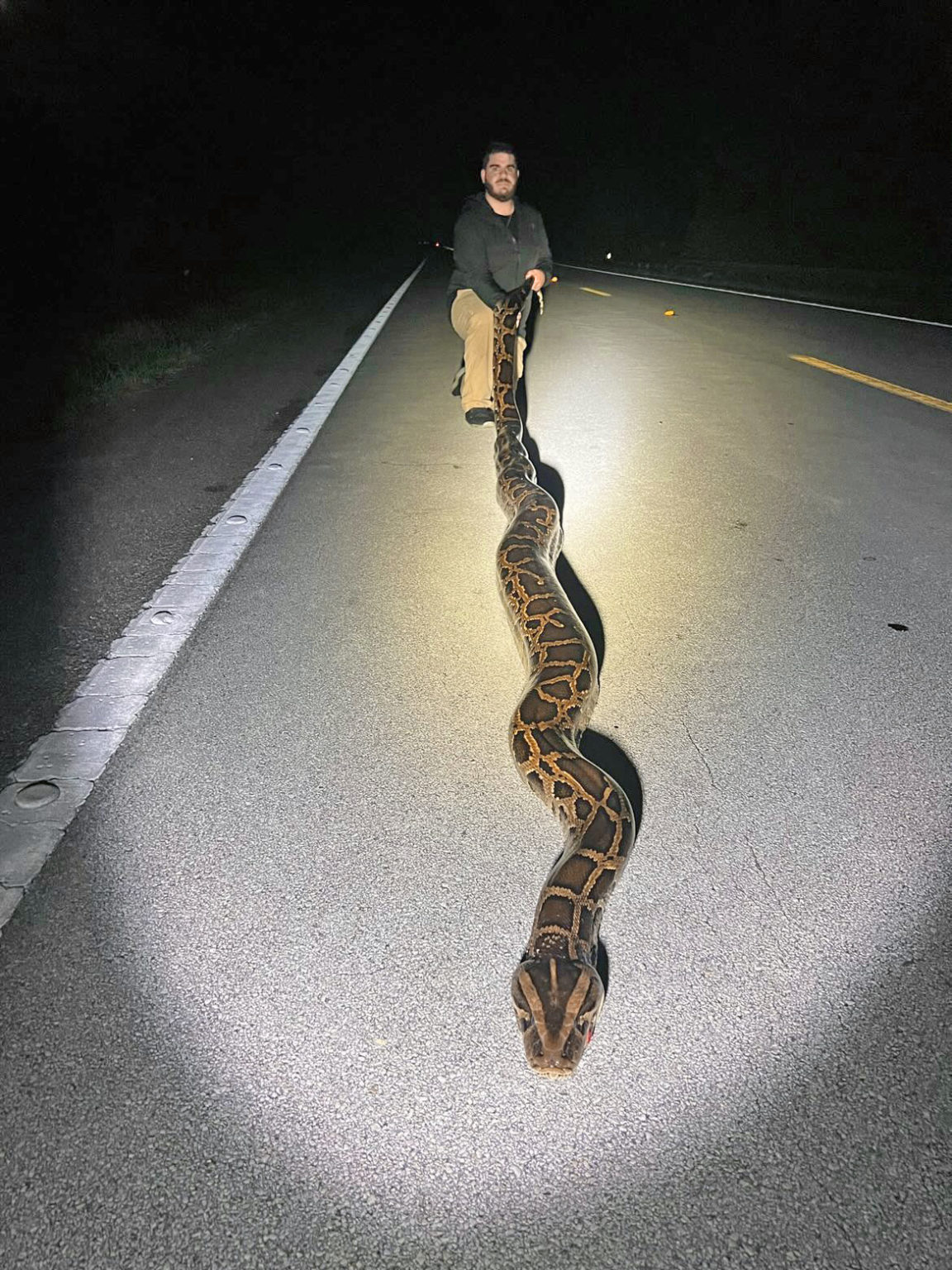 Rollins Senior Helps Bag 17-foot Python · the32789
